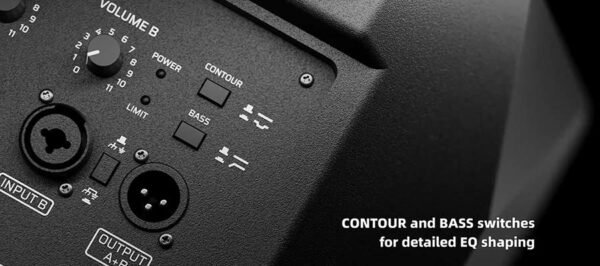 Amplificateur Actif VALETON FRFR VFR-110 – Acoustics Mics and Pickups